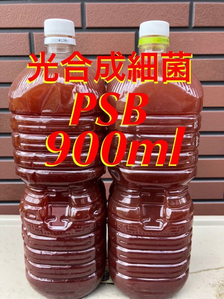 光合成細菌 PSB 900ml メダカ 金魚 ゾウリムシ ミジンコ培養に(バクテリア)｜売買されたオークション情報、yahooの商品情報をアーカイブ公開 - オークファン（aucfan.com）