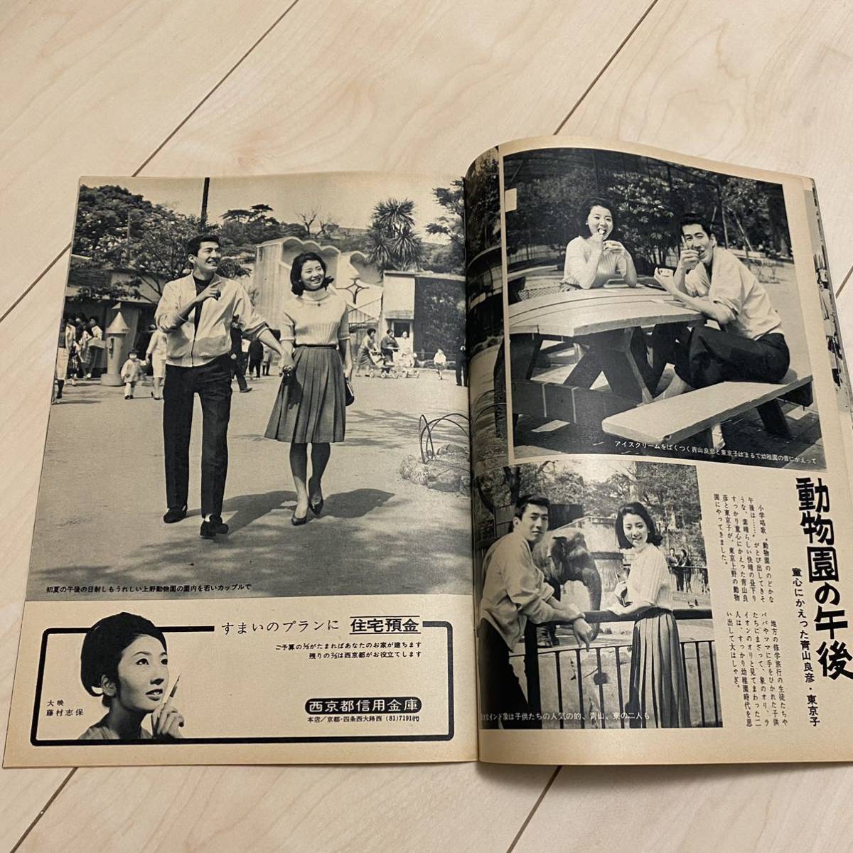 大映グラフ NO35 市川雷蔵 田宮二郎 高毬子 青山良彦 東京子 安田道代 勝新太郎 加東大介 高田美和(その他)｜売買されたオークション情報、yahooの商品情報をアーカイブ公開 ...