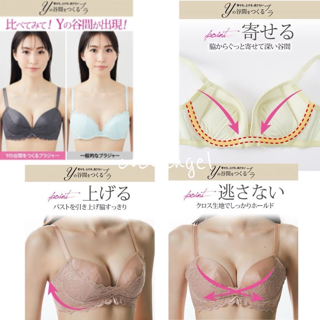 トリンプ E85LL ブラウン系 上下セット Triumph ブラ&ショーツ ブラジャーショーツセット パッドなし Yの谷間 編みレース Eカップ(80以上)｜売買されたオークション情報 ...