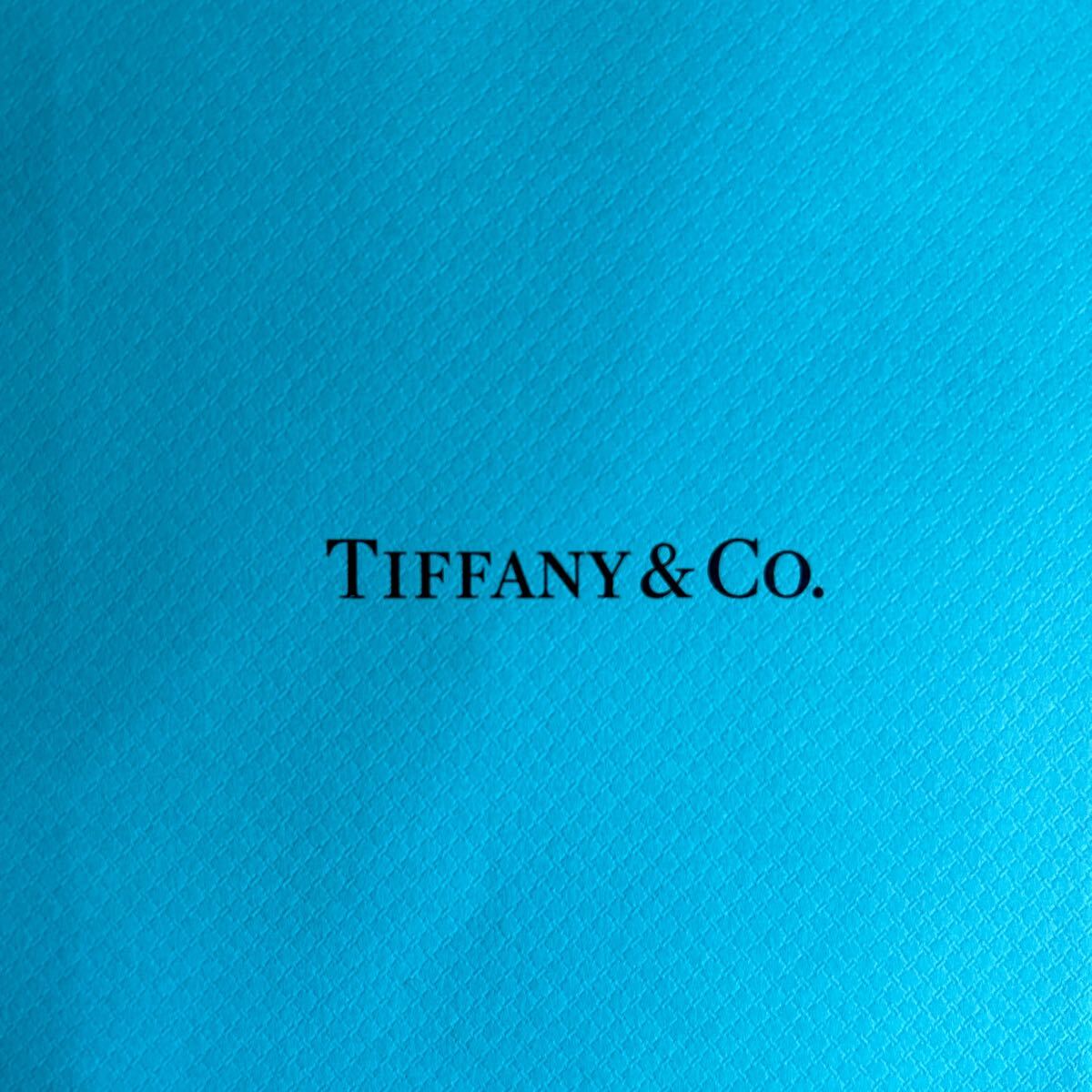 TIFFANY ティファニー 紙袋 ショップ袋 ショッパー 非売品 送料140(その他)｜売買されたオークション情報、yahooの商品情報を ...