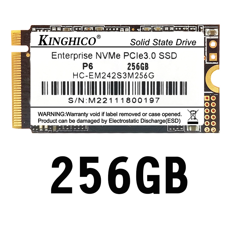 WWANスロット 256GB M.2 2242 NVMe SSD セカンドSSDを増設して2個 Lenovo ThinkPad T470P ...