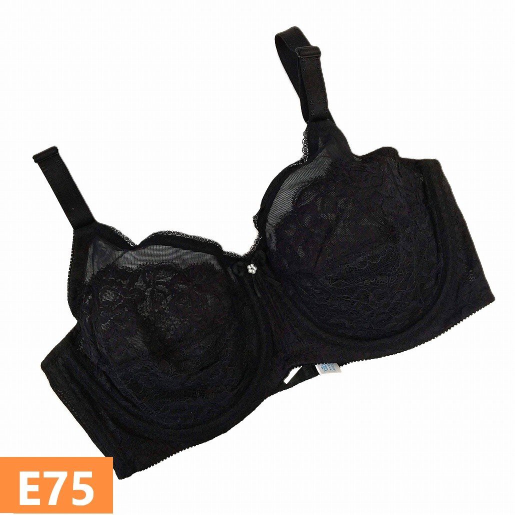 シャンデール ブラジャー E75 ブラック 黒 サンプル フルカップ 補正 補整 ワイヤー入 s920(Eカップ以上)｜売買されたオークション情報、yahooの商品情報をアーカイブ公開 ...