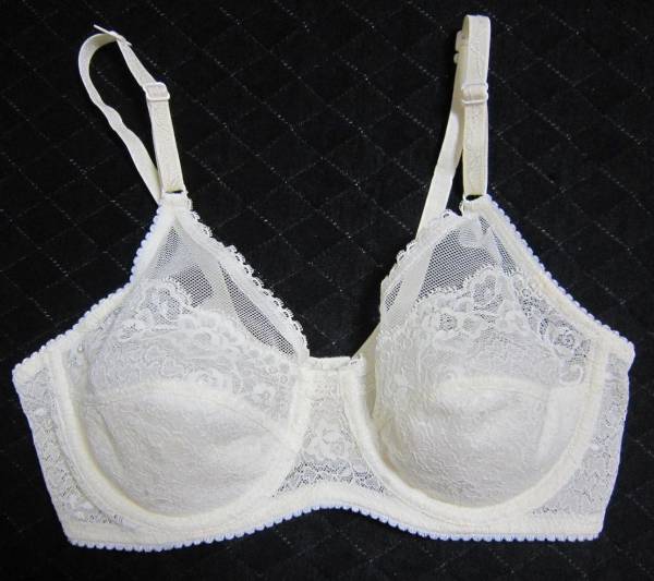 FA131エレーブブラA75定価5670円シャルレサンプル(75)｜売買されたオークション情報、yahooの商品情報をアーカイブ公開 - オークファン（aucfan.com）