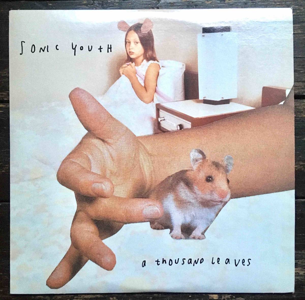 2LP Sonic Youth A Thousand Leaves Boredoms ボアダムス Nirvana Nevermind Dinosaur Jr Jim O'Rourke ...