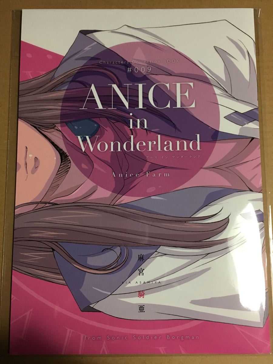 C97 麻宮騎亜 ANICE in Wonderland アニス ファーム 未読品 ボーグマン(イラスト集、原画集)｜売買されたオークション情報、yahooの商品情報をアーカイブ公開 ...