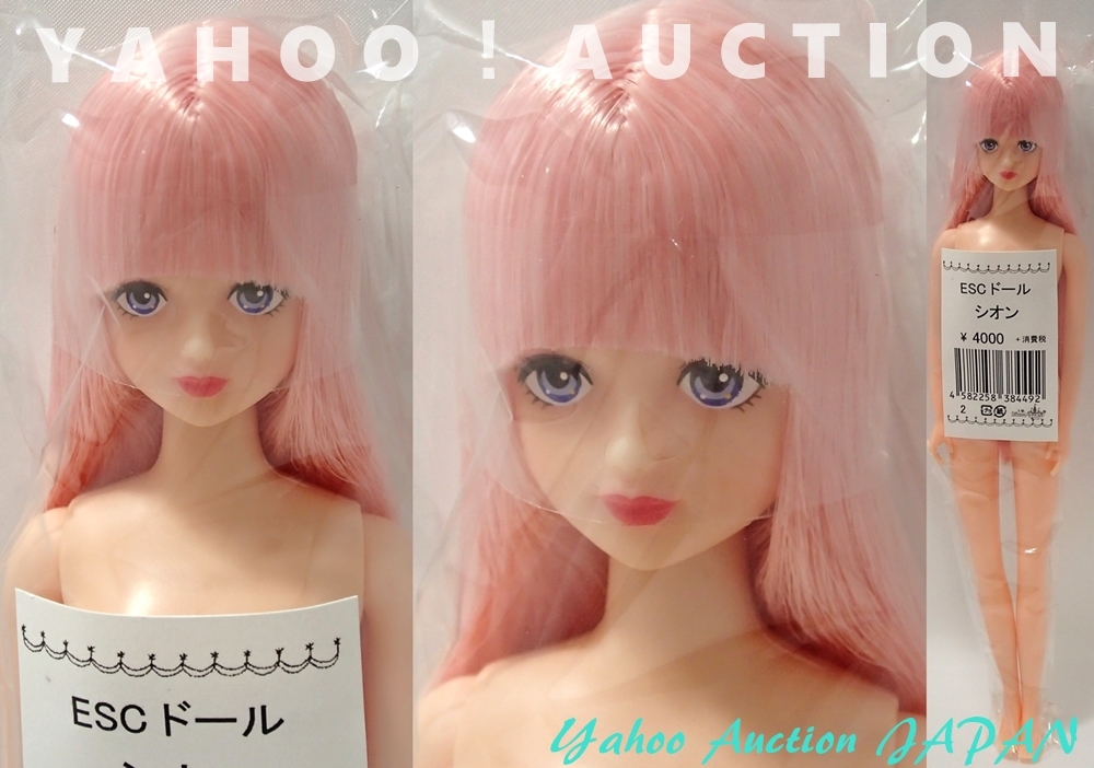 ESC ドール シオン リカちゃんキャッスル リトルファクトリー 27cm J-425(人形)｜売買されたオークション情報、yahooの商品情報をアーカイブ公開 - オークファン（aucfan ...