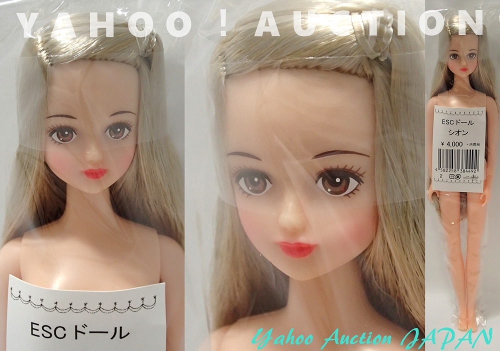 ESC ドール シオン リカちゃんキャッスル リトルファクトリー 27cm J-502(人形)｜売買されたオークション情報、yahooの商品情報をアーカイブ公開 - オークファン（aucfan ...