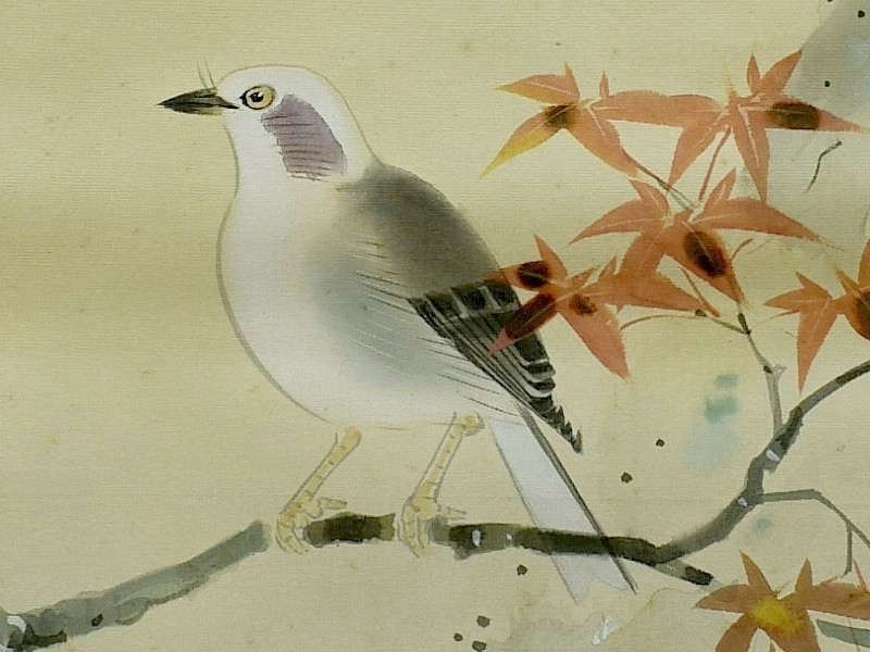 真作 中曽根晁子 紅葉小禽之図 掛軸 共箱 su157(花鳥、鳥獣)｜売買されたオークション情報、yahooの商品情報をアーカイブ公開 ...
