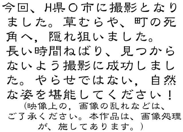 p14 アイドル 登下校 パンチラ スカート めくり ローアングル DVD 2枚 画像はイメージ(複数被写体)｜売買されたオークション情報、yahooの商品情報をアーカイブ公開 ...