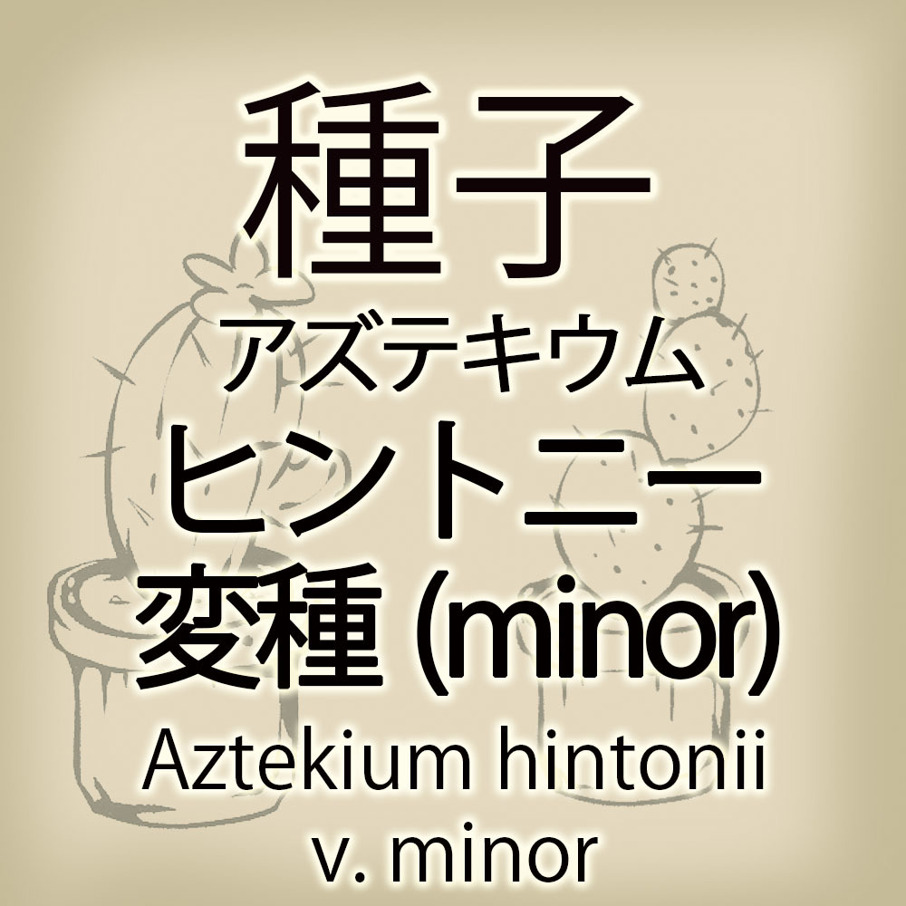 輸入種子 アズテキウム ヒントニー 変種ミノール 20粒 Aztekium hintonii v. minor 雛篭 雛籠 サボテン 多肉植物 ...
