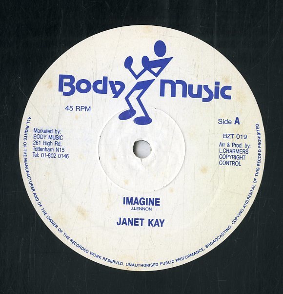 A00519284/12インチ/ジャネット ケイ JANET KAY Imagine 1988年 BZT-019 レゲエ REGGAE(レゲエ ...