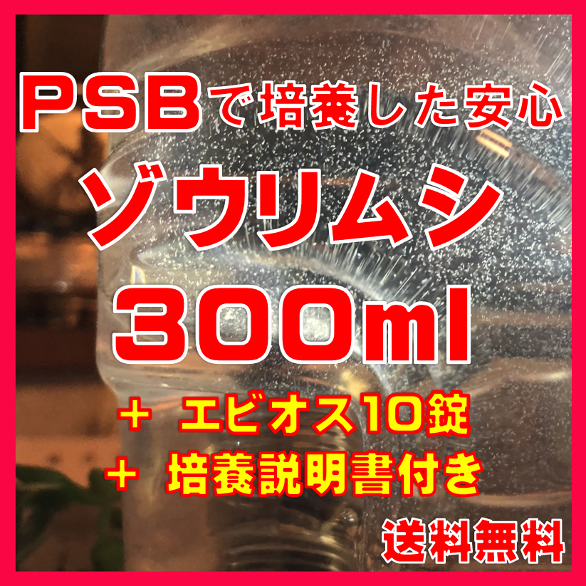 PSB 培養したゾウリムシ種水300ml＋エビオス10錠＋培養説明書 メダカの針子 稚魚 幼魚 越冬中にも安心(エサ)｜売買されたオークション情報、yahooの商品情報をアーカイブ公開 ...