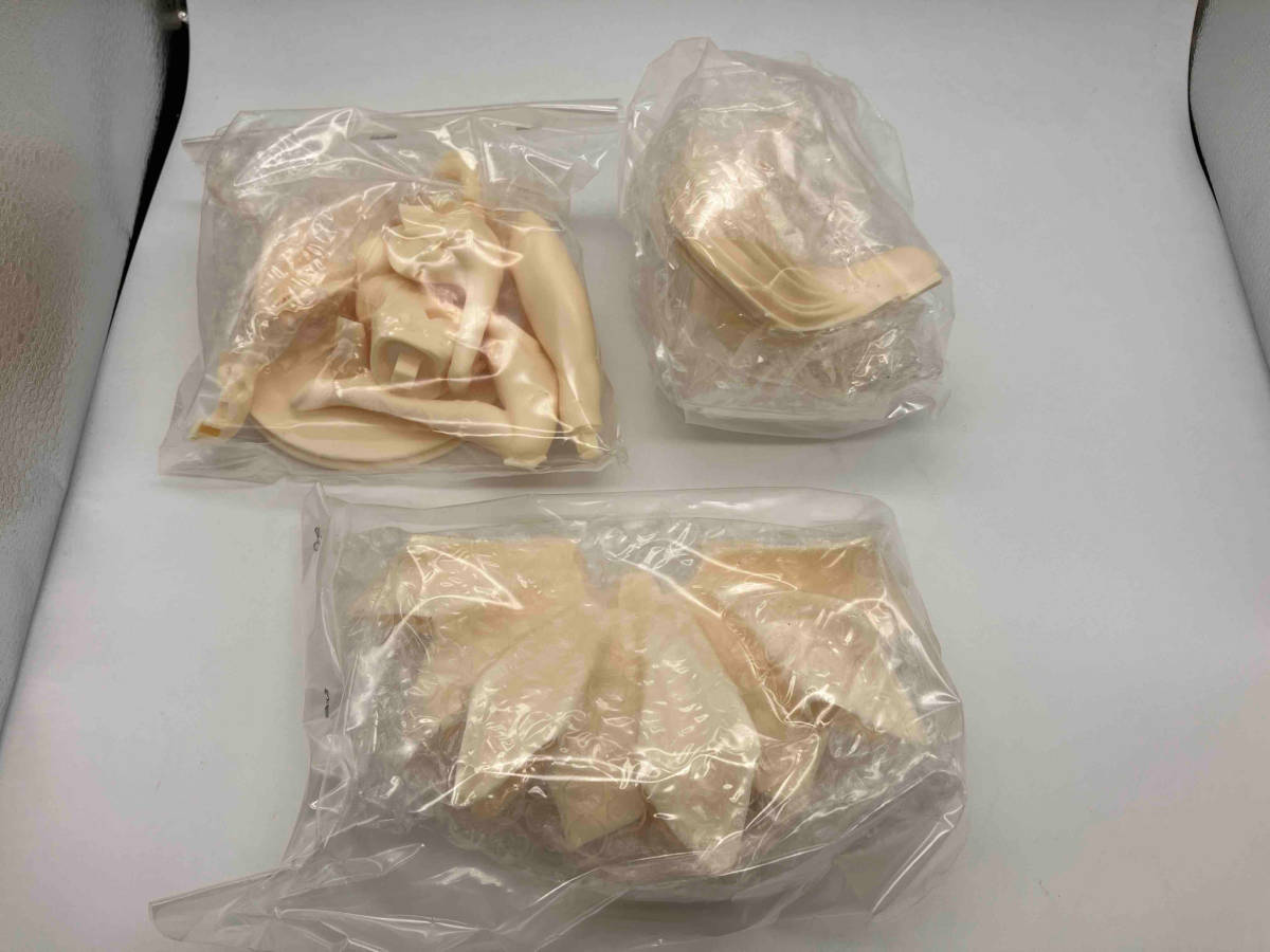 包装 ガレージキット MERSA WORKS Character Garage KIt Figure 機動戦士ガンダムSEED ラクス ...