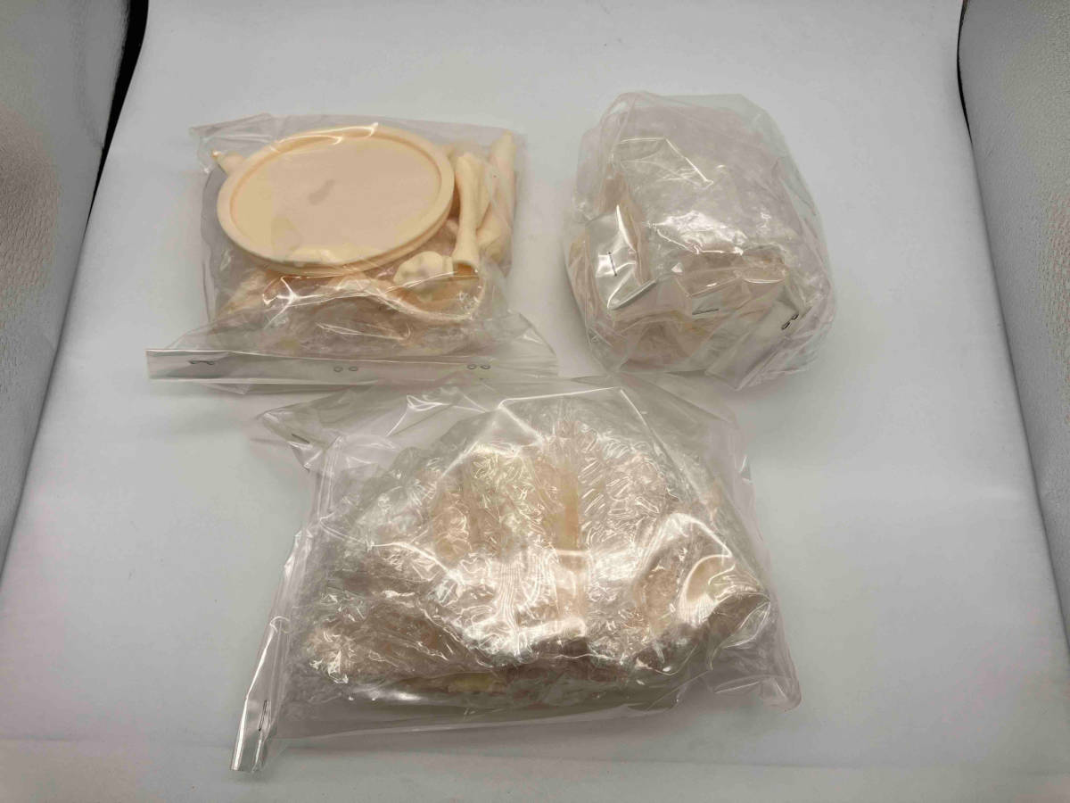 包装 ガレージキット MERSA WORKS Character Garage KIt Figure 機動戦士ガンダムSEED ラクス ...