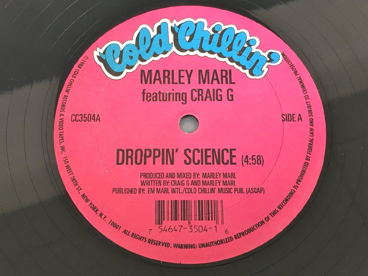 LPレコード10枚まとめセット JAZZY JEFF＆FRESH PRINCE/KOOL G RAP/DA BUSH BABEES/BLACKSTREET/MARLEY MARL他 ジャンク ...