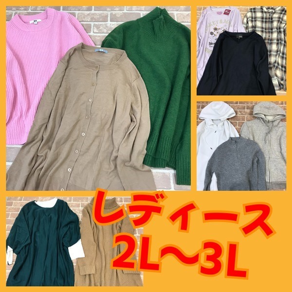 F－572 #厳選 レディース ＃大きいBIGサイズ 2L 3Lサイズ おまとめセット 大量 21着 大量 古着(その他)｜売買された ...
