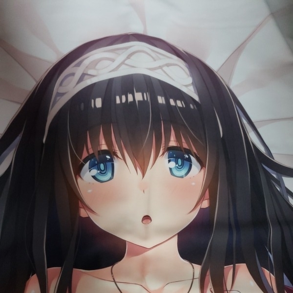 憂姫はぐれ 鷺沢文香 抱き枕カバー デレマス C91 WIREFRAME(抱き枕)｜売買されたオークション情報、yahooの商品情報をアーカイブ公開 - オークファン（aucfan.com）