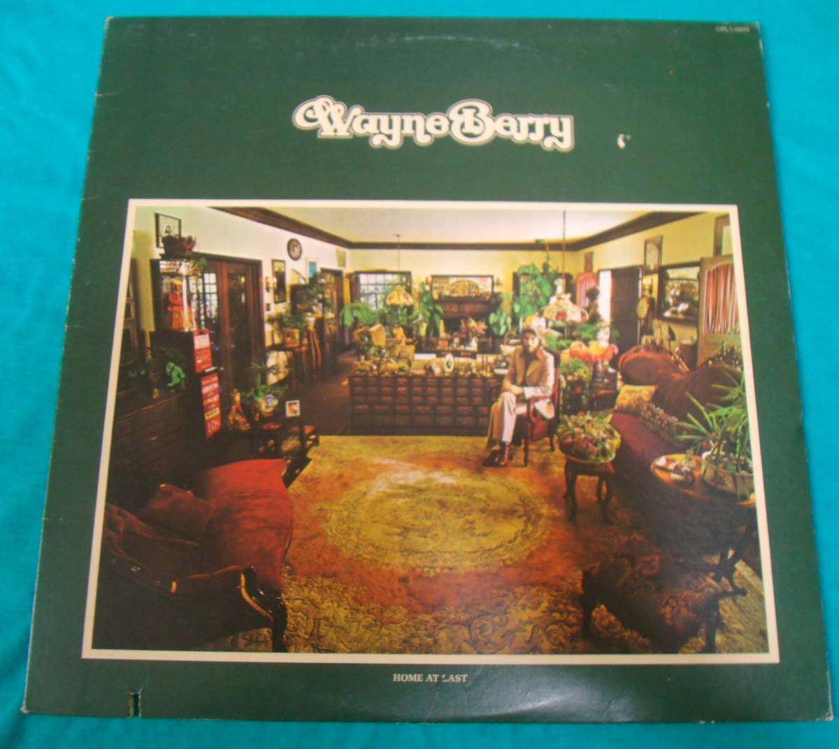 LP WAYNE BERRY / HOME AT LAST USオリジナル盤CPL1-0603 SSW SWAMP Jesse Ed ...