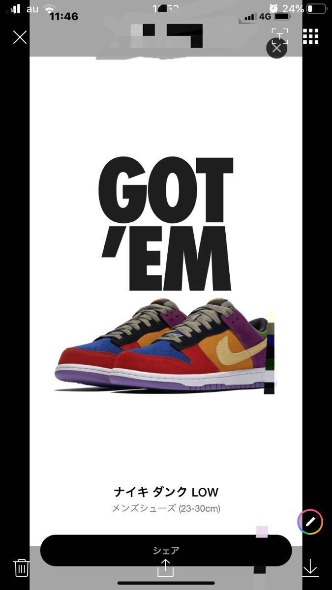 ナイキ us10 28cm NIKE SB DUNK LOW SP VIOTECH CRAZY DUNK クレイジー ダンク(28.0cm ...
