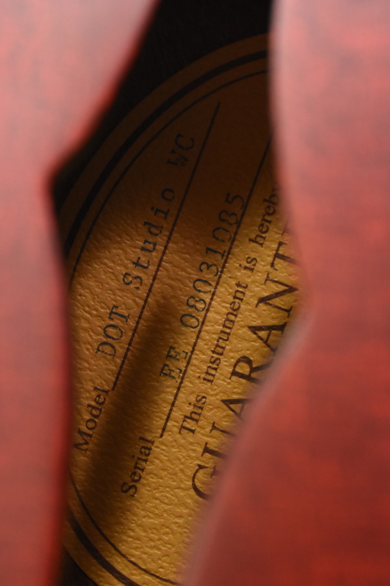 Epiphone/エピフォン エレキギター/セミアコ Dot Studio WC ソフトケース付属(エピフォン)｜売買されたオークション情報 ...