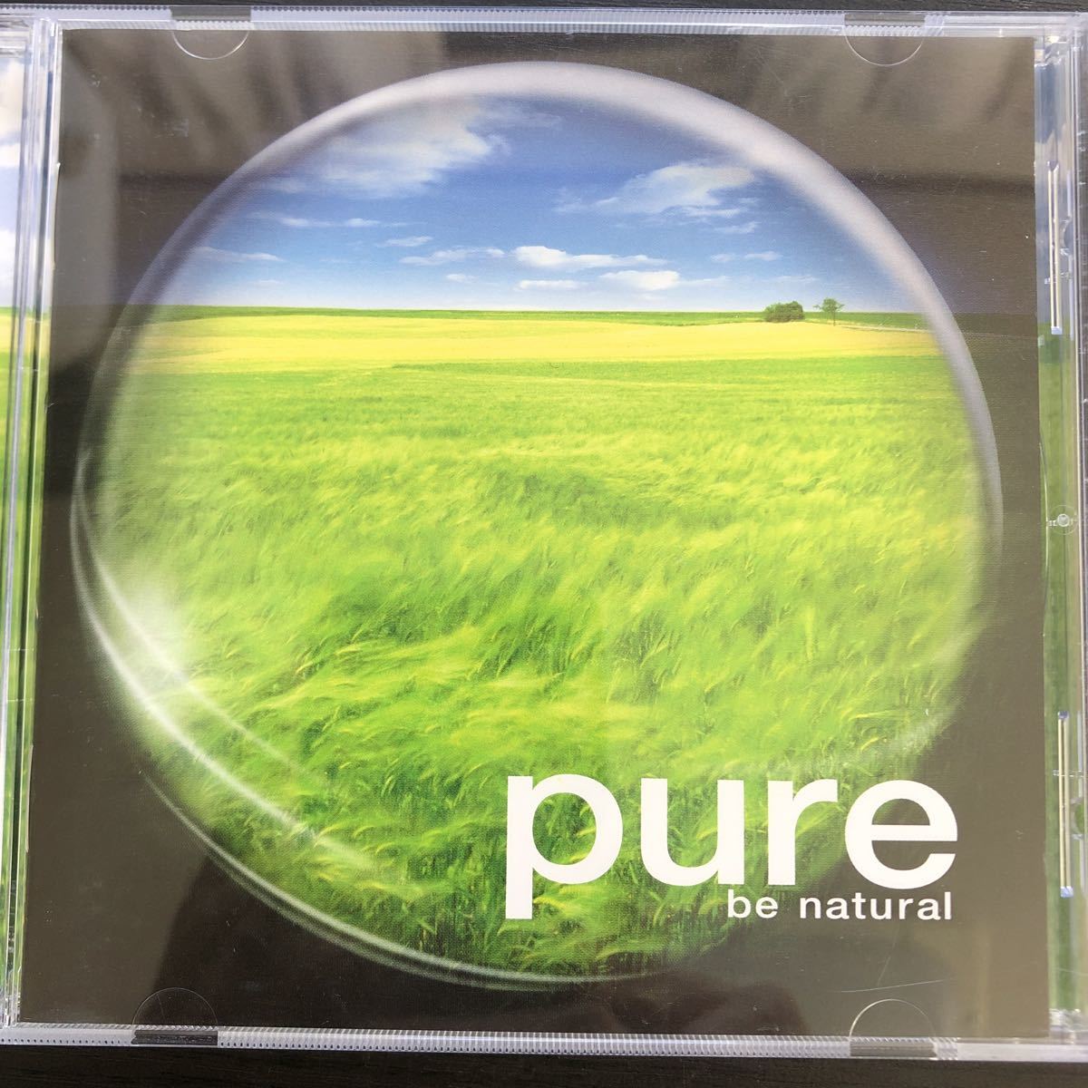 CD／PURE／久石譲 千住明 坂本龍一 サラ ブライトマン 宗次郎 ルイ アームストロングなど／ヒーリング／オムニバス(ヒーリング)｜売買さ ...