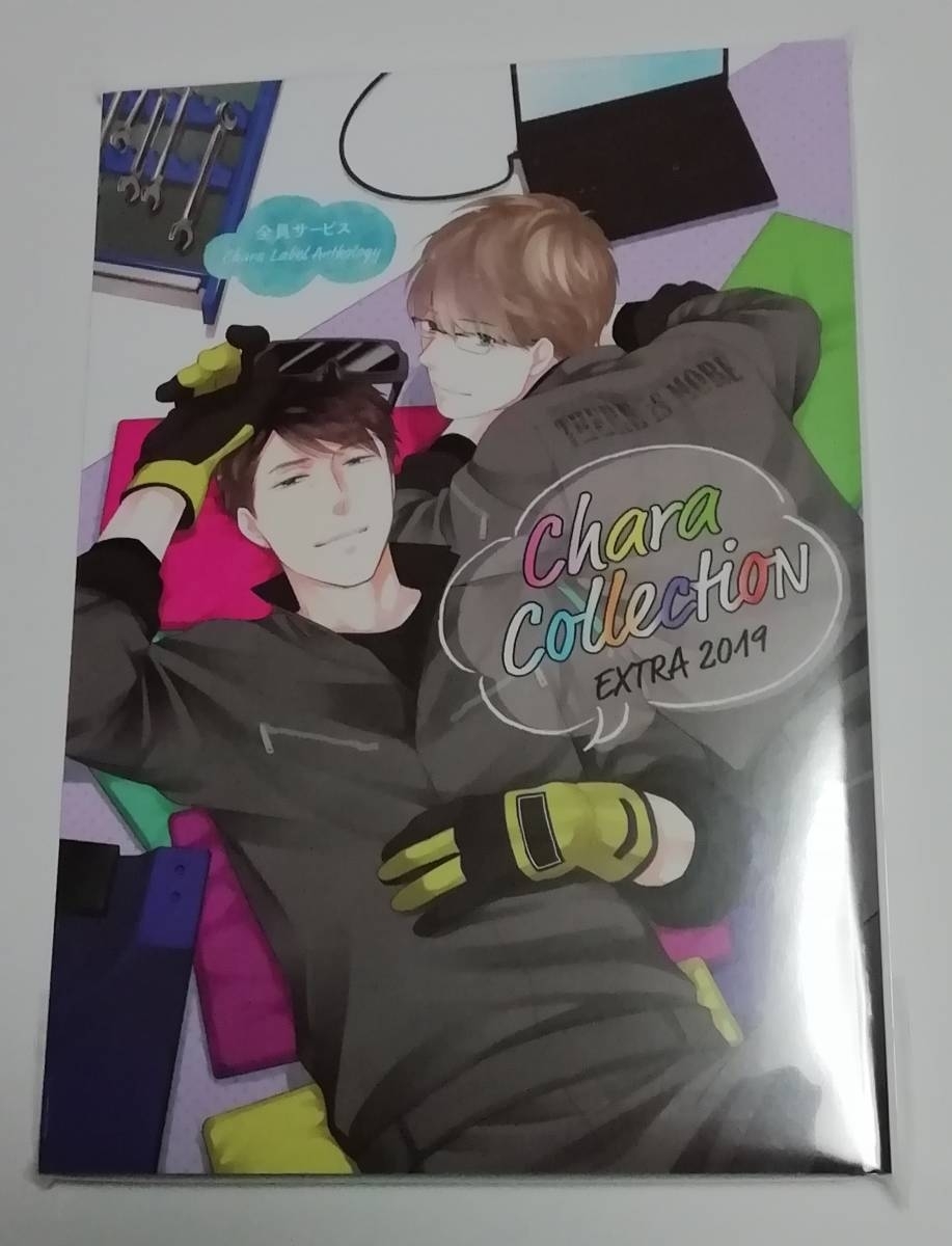 全サ小冊子Chara Collection EXTRA 2019 凪良ゆう 美しい彼 吉原理恵子 二重螺旋 英田サキ DEADLOCK 菅野彰 毎日晴天 松岡なつき(その他)｜売買された ...