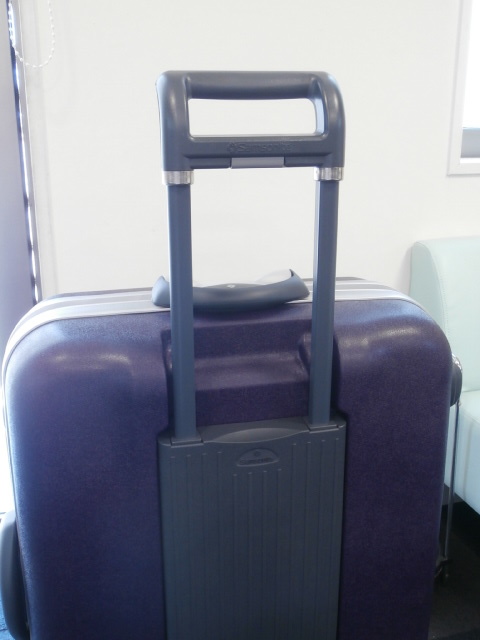 スーツケース ACE社 Samsonite サムソナイト WORLDPROOF SILHOUETTE MV ワールドプルーフシルエット 81L ディープバイオレット 4輪(サムソナイト)｜売買 ...