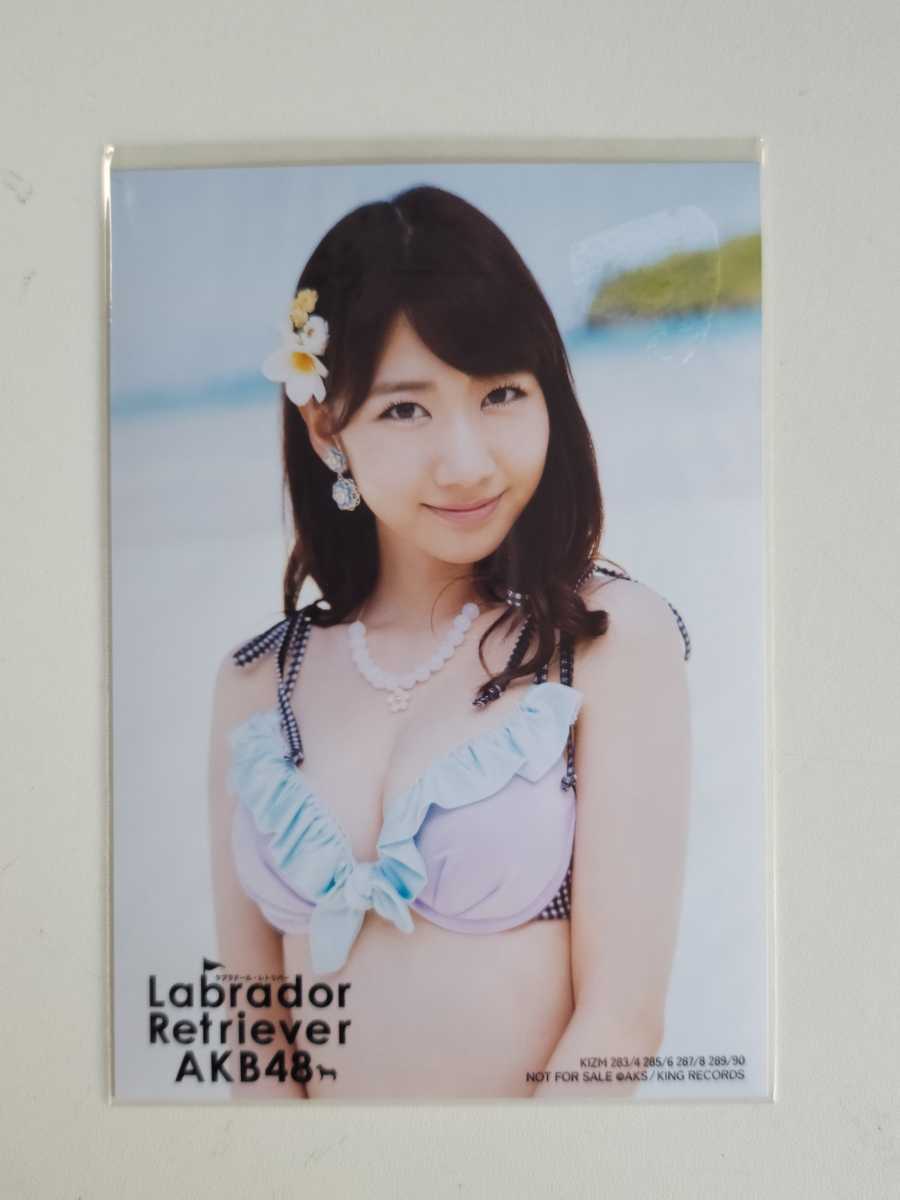 AKB48 柏木由紀 ラブラドールレトリバー 通常盤 生写真 ＜水着ver＞(AKB48)｜売買されたオークション情報、yahooの商品情報をアーカイブ公開 - オークファン（aucfan.com）