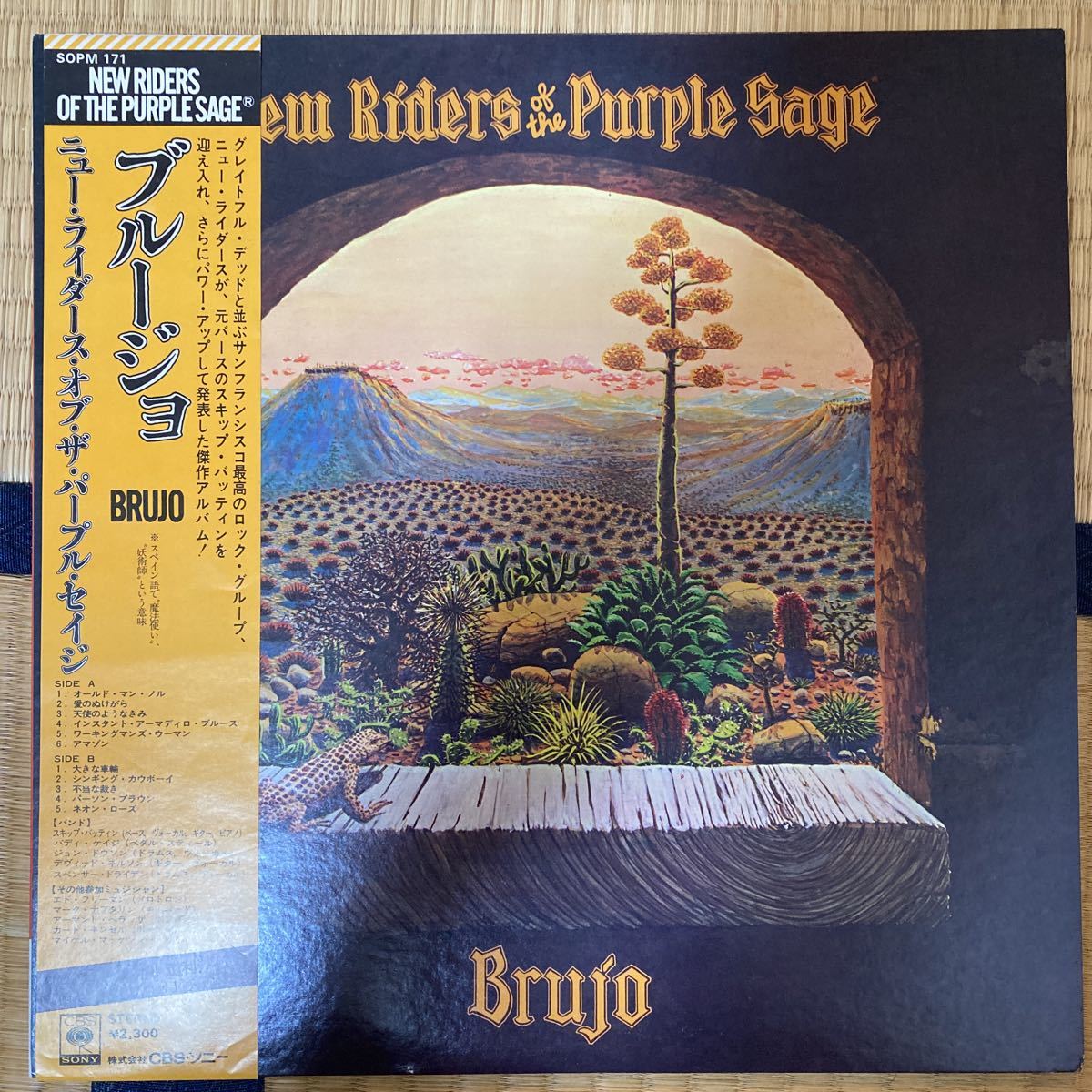 レアLP LP NEW RIDERS OF THE PURPLE SAGE／BRUJO psychedelic rock acid Greatful Dead Neil young bob ...