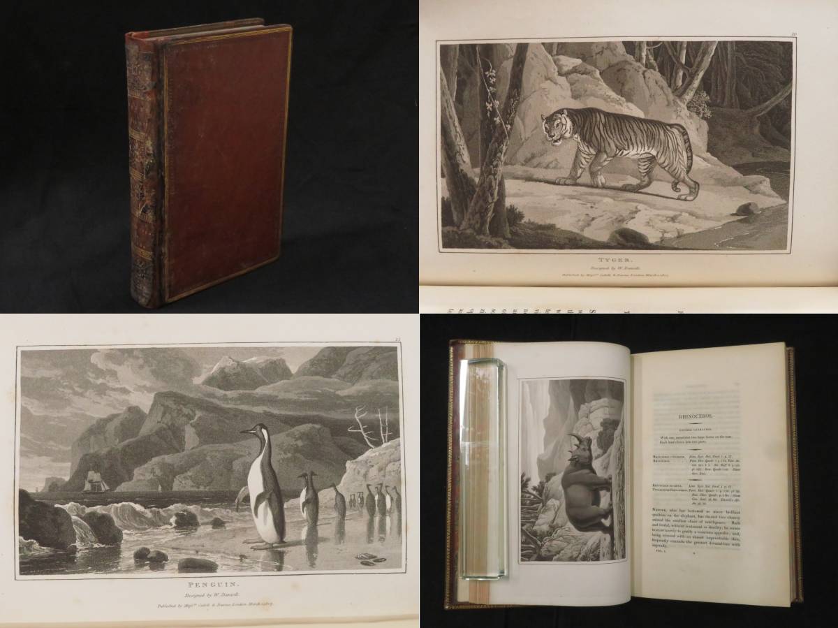 挿絵 洋書3 WOOD'S ZOOGRAPHY VOL.1 点刻銅版画 25枚 1807年 革装 マーブル 博物学 動物学 戦前 19世紀初期 ...