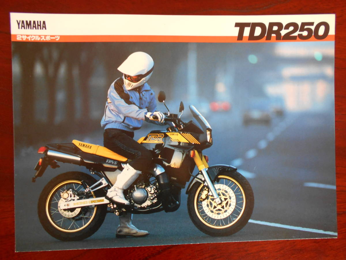 バイクカタログ ヤマハ TDR250(ヤマハ)｜売買されたオークション情報、yahooの商品情報をアーカイブ公開 - オークファン（aucfan.com）