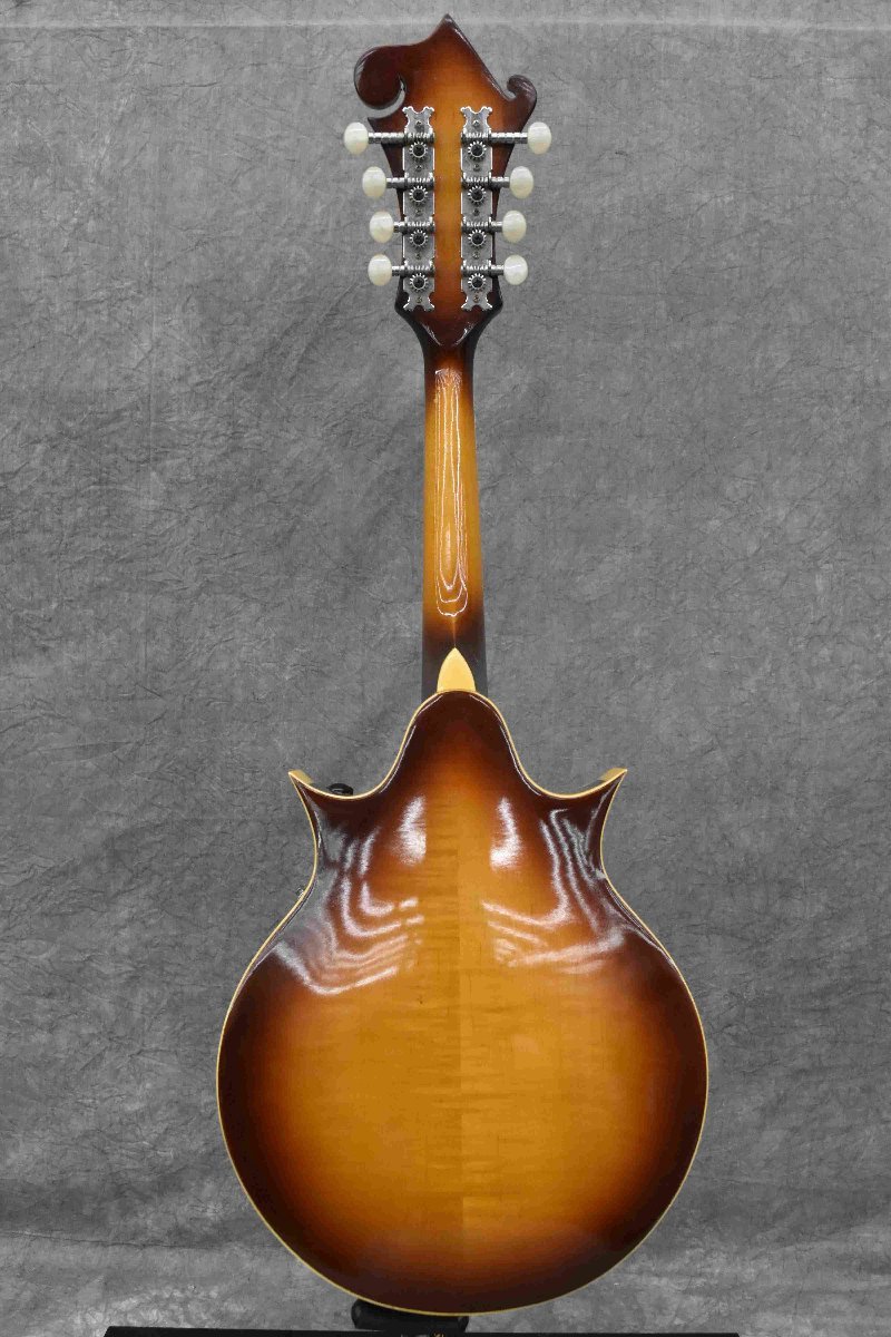 F KASUGA カスガ フラットマンドリン M-50(マンドリン)｜売買されたオークション情報、yahooの商品情報をアーカイブ公開 - オークファン（aucfan.com）