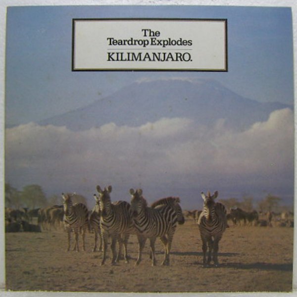 LP THE TEARDROP EXPLODES KILIMANJARO JULIAN COPE 輸入盤(その他)｜売買されたオークション情報 ...