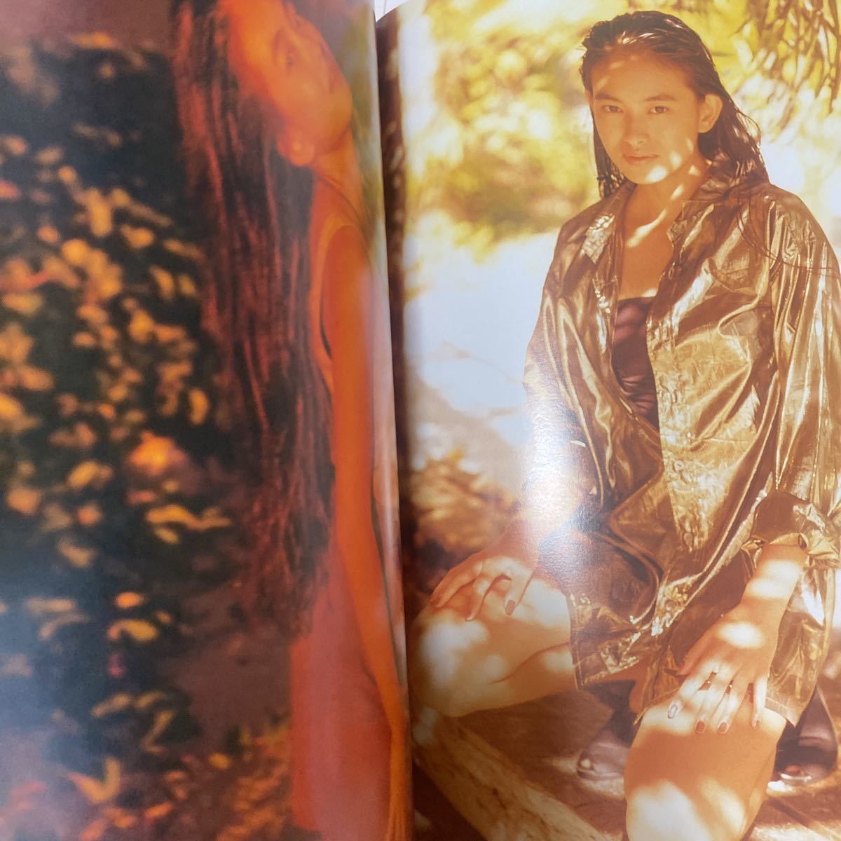 田中美奈子写真集 incarnation(田中美奈子)｜売買されたオークション情報、yahooの商品情報をアーカイブ公開 - オークファン（aucfan.com）