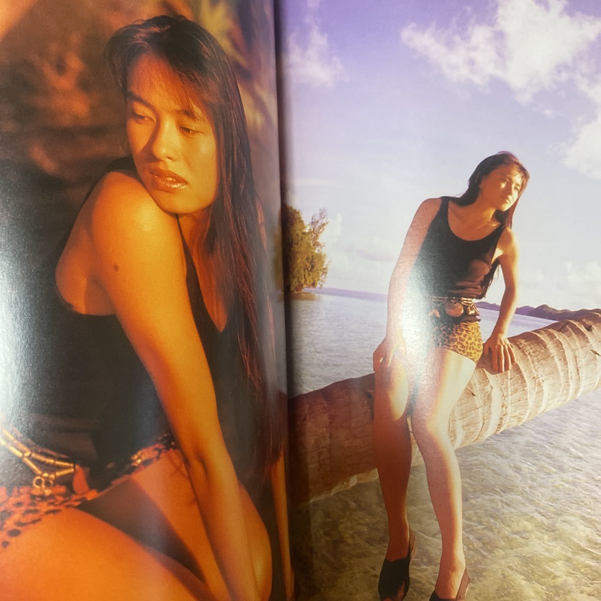 田中美奈子写真集 incarnation(田中美奈子)｜売買されたオークション情報、yahooの商品情報をアーカイブ公開 - オークファン（aucfan.com）