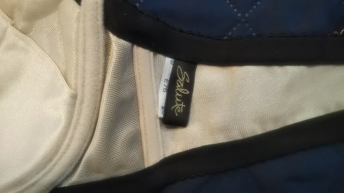 サルート ブラ E75 補正用(その他)｜売買されたオークション情報、yahooの商品情報をアーカイブ公開 - オークファン（aucfan.com）