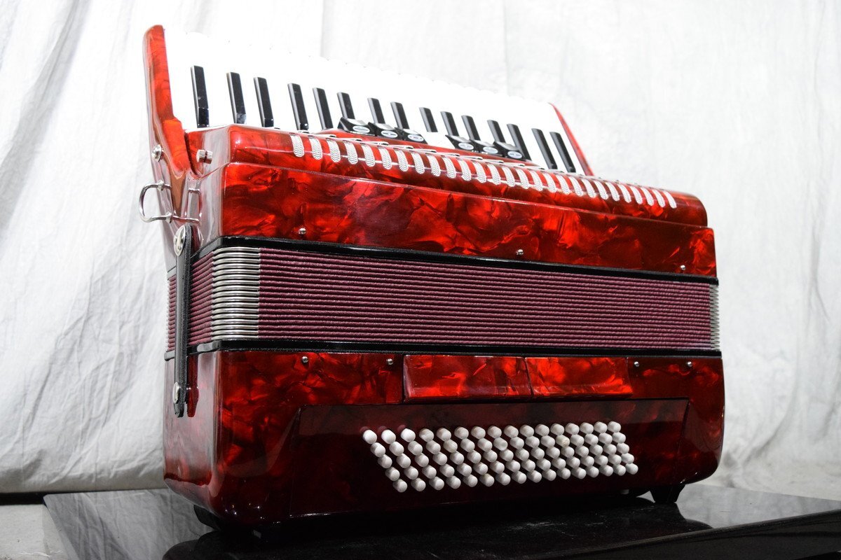 TG0802 PlayTech/プレイテック アコーディオン PAK500 ハードケース付属(アコーディオン)｜売買されたオークション情報、yahooの商品情報をアーカイブ公開 ...