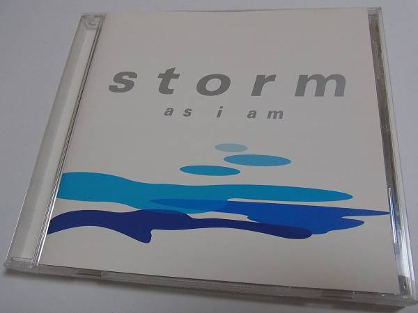 90~ STORM AS I AM 90s極上シンガー JPオンリー作 レア(R&B、ソウル)｜売買されたオークション情報、yahooの商品 ...
