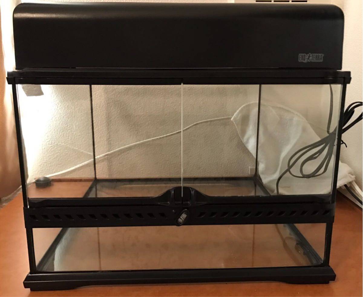 GEX エキゾテラ グラステラリウム 4530 コンパクトトップ&スタイロフォーム付き 検レプタイルボックス パンテオン 爬虫類ケージ(飼育ケース)｜売買されたオークション情報、yahooの ...