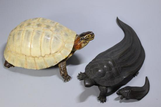 E289 亀の置物/真鍮製親子亀/剥製亀/カメ/置物/縁起物/和骨董/37954(真鍮製)｜売買されたオークション情報、yahooの商品情報をアーカイブ公開 - オークファン（aucfan.com）