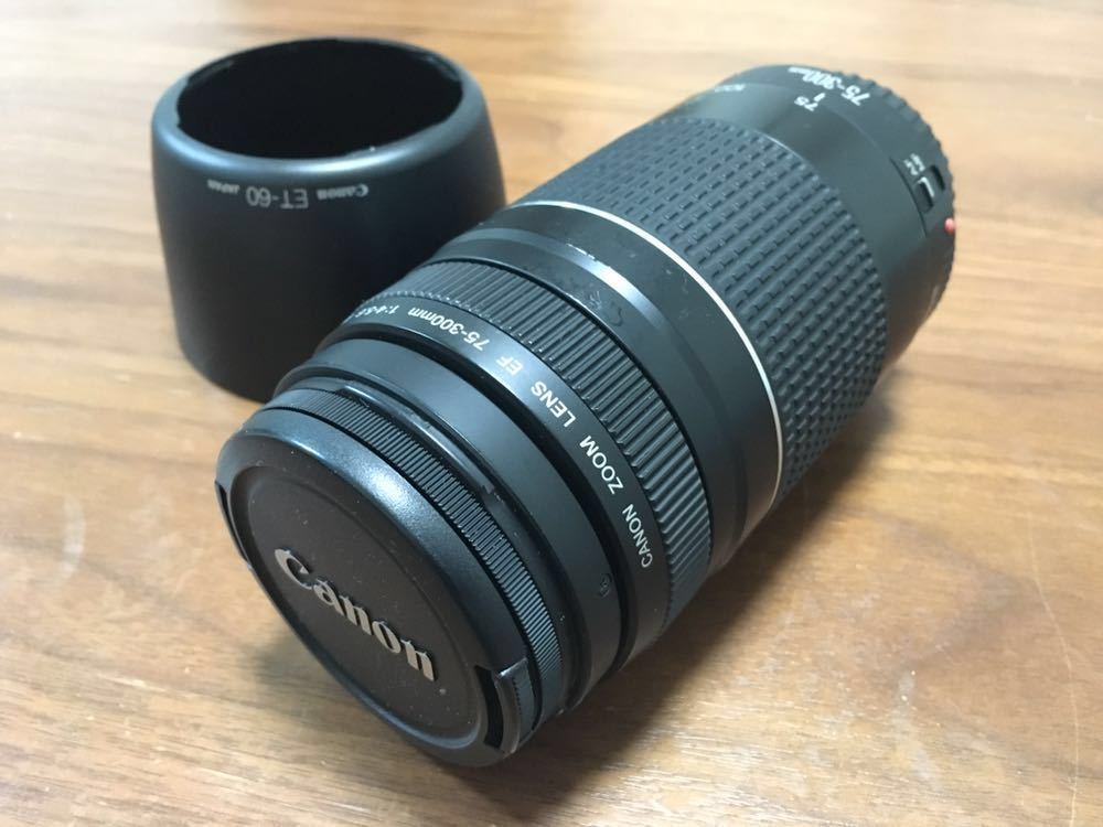 Canon キヤノン EF75-300mm F4-5.6Ⅲ(キヤノン)｜売買されたオークション情報、yahooの商品情報をアーカイブ公開 ...