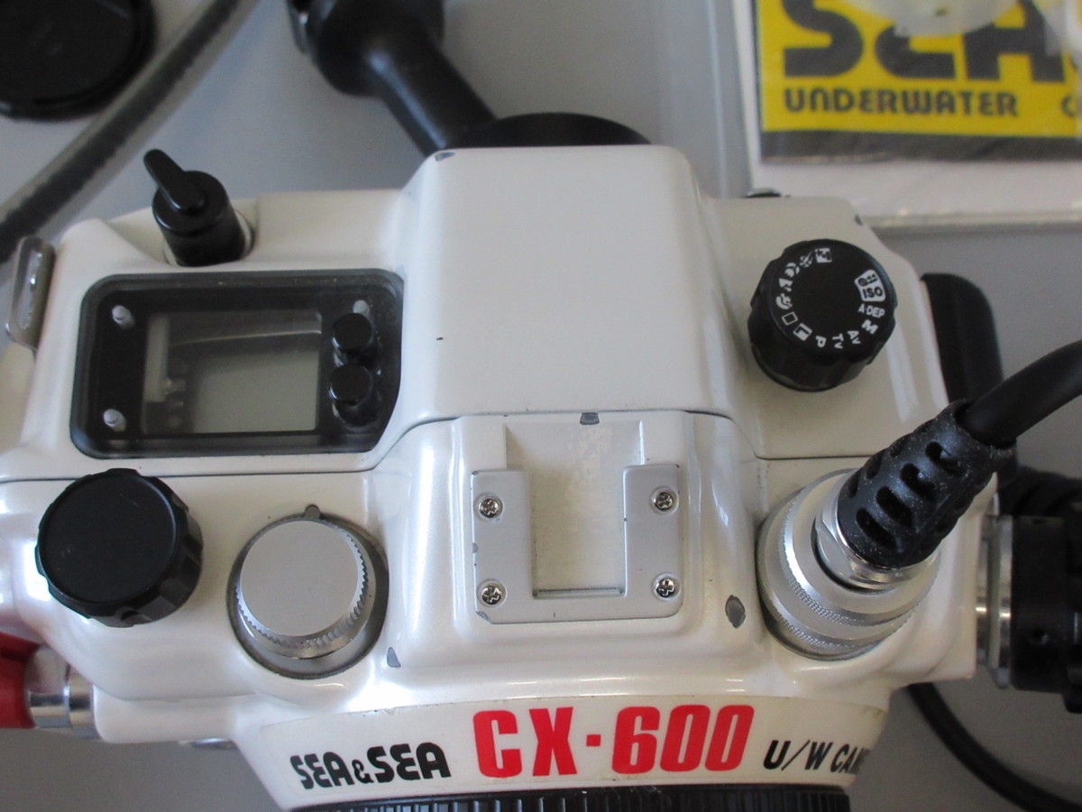 ジャンク/ SEA&SEA 水中カメラセット CX-600 ハウジング ダイビング 動作不明(その他)｜売買されたオークション情報、yahoo ...