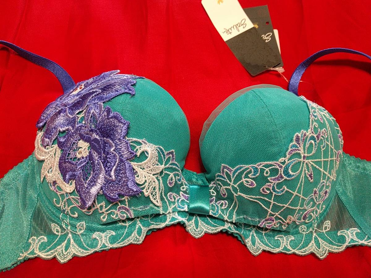 saleサルート ラテンビューティ90 E65リボンブラ緑BS(65以下)｜売買されたオークション情報、yahooの商品情報をアーカイブ公開 - オークファン（aucfan.com）