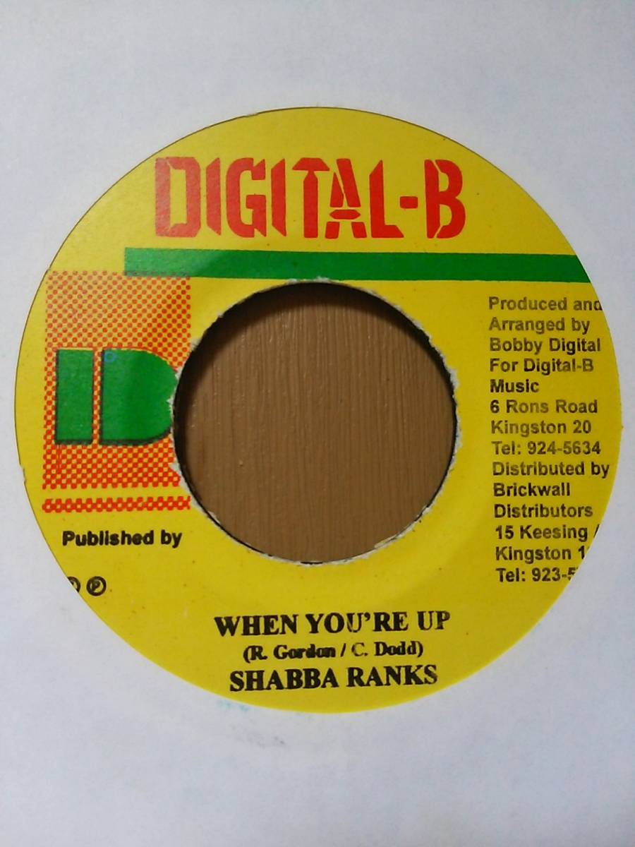Im Just a Guy Riddim 同オケ3枚セット Shabba Ranks Skatta Brian & Tony Gold 90s ...