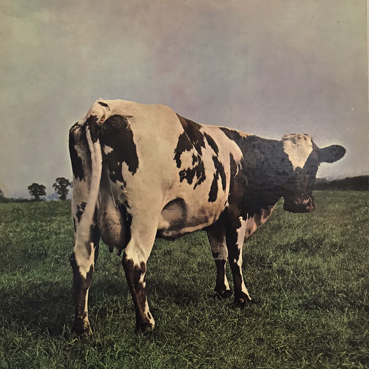 US盤 LP Pink Floyd / Atom Heart Mother ピンク フロイド 原子心母 SKAO-382(Pink Floyd)｜売買されたオークション情報、yahooの商品 ...