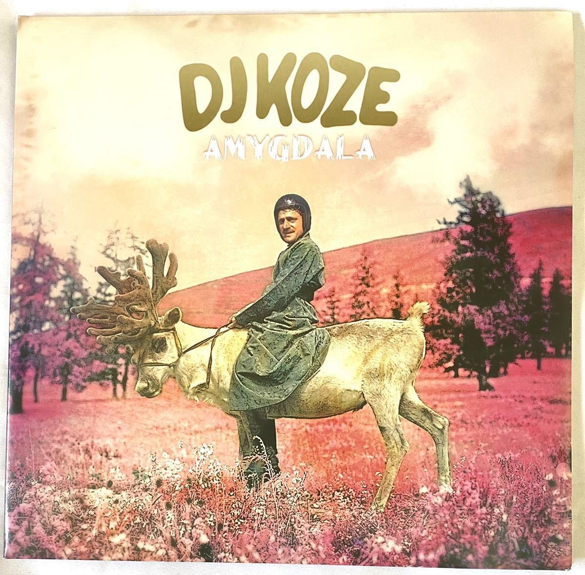 DJ Koze Amygdala レコード 2LP+EP ドイツ盤 2013年 Pampa Records PAMPA LP007(ハウス)｜売買されたオークション情報、yahooの商品情報を ...