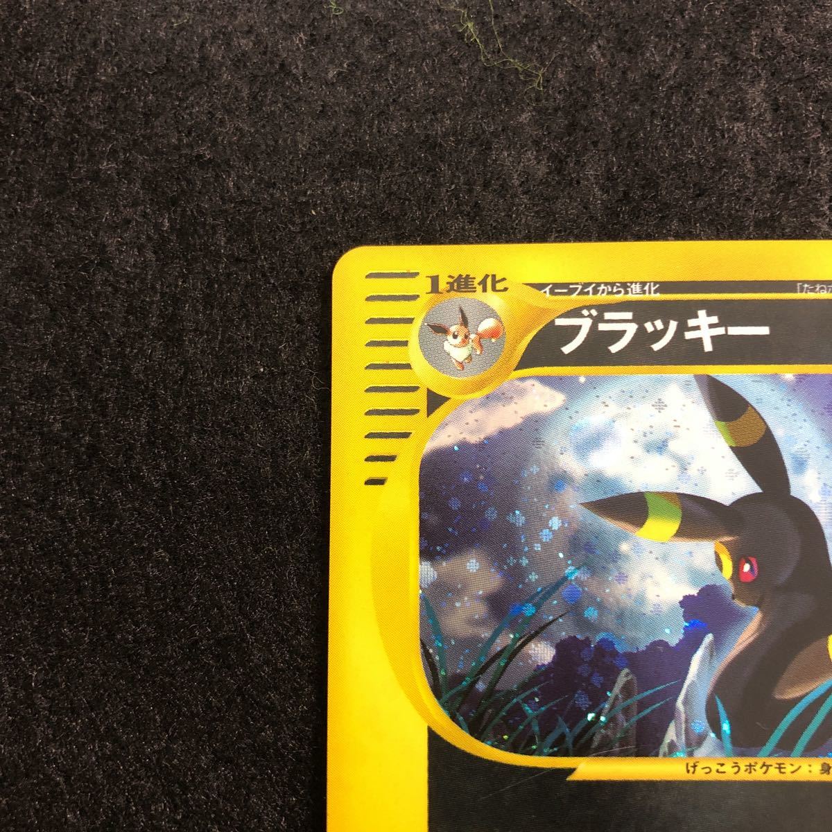 ポケモンカードe ブラッキー 072/088 HP70 1ED キラ 裂けた大地(シングルカード)｜売買されたオークション情報、yahooの商品情報をアーカイブ公開 - オークファン ...