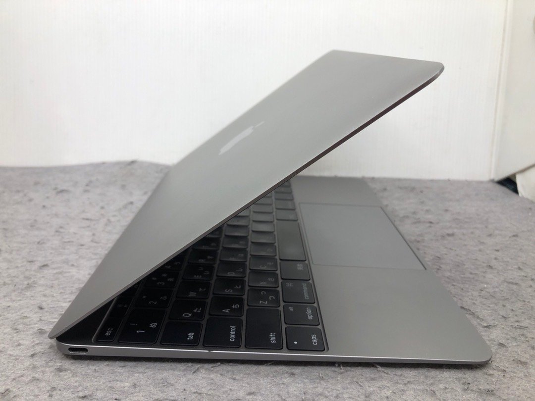Apple MacBook Retina 12inch Early 2015 A1534 Core M-5Y71 8GB SSD512GB ...