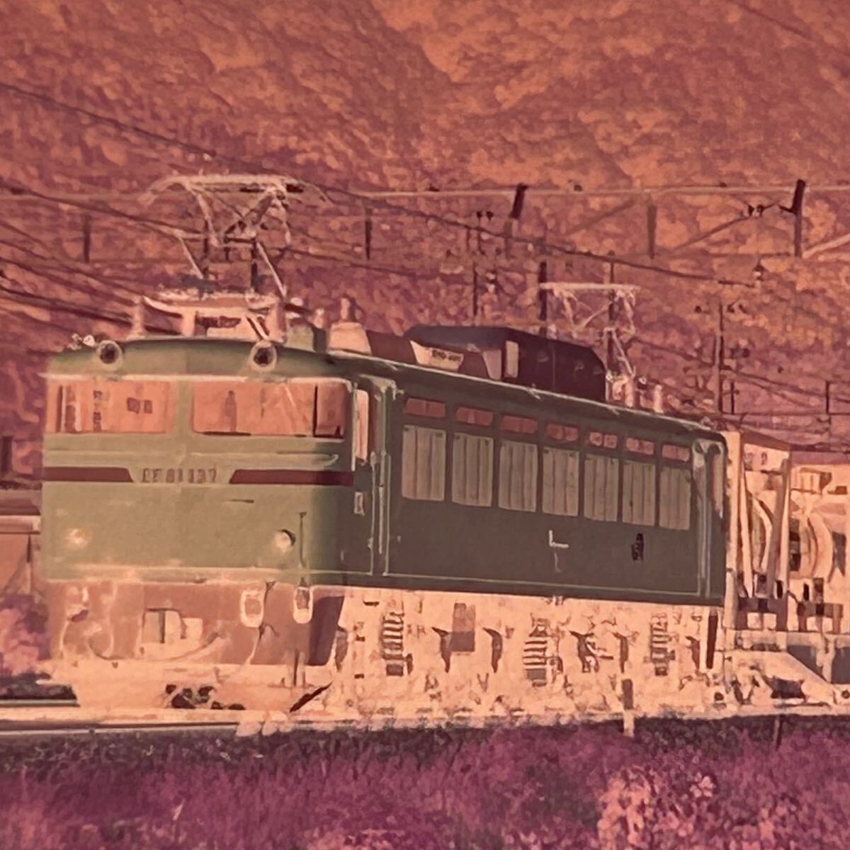 古い鉄道写真 ネガフィルム EXPO'90 亀城号 EF81137 EF651004 EF666 EF6570 EF651085 EF65130 スーパー雷鳥 EF6571 EF817 列車 ...