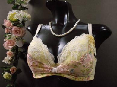 o 良好 ワコール Lge'ルジェ BCA461 補正 リボンブラ E75(Eカップ以上)｜売買されたオークション情報、yahooの商品情報をアーカイブ公開 - オークファン（aucfan.com）